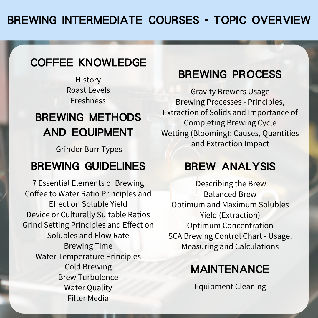 SCA Brewing Intermediate 精品咖啡協會國際証書課程 手沖咖啡中級証書課程 – 緣月咖啡