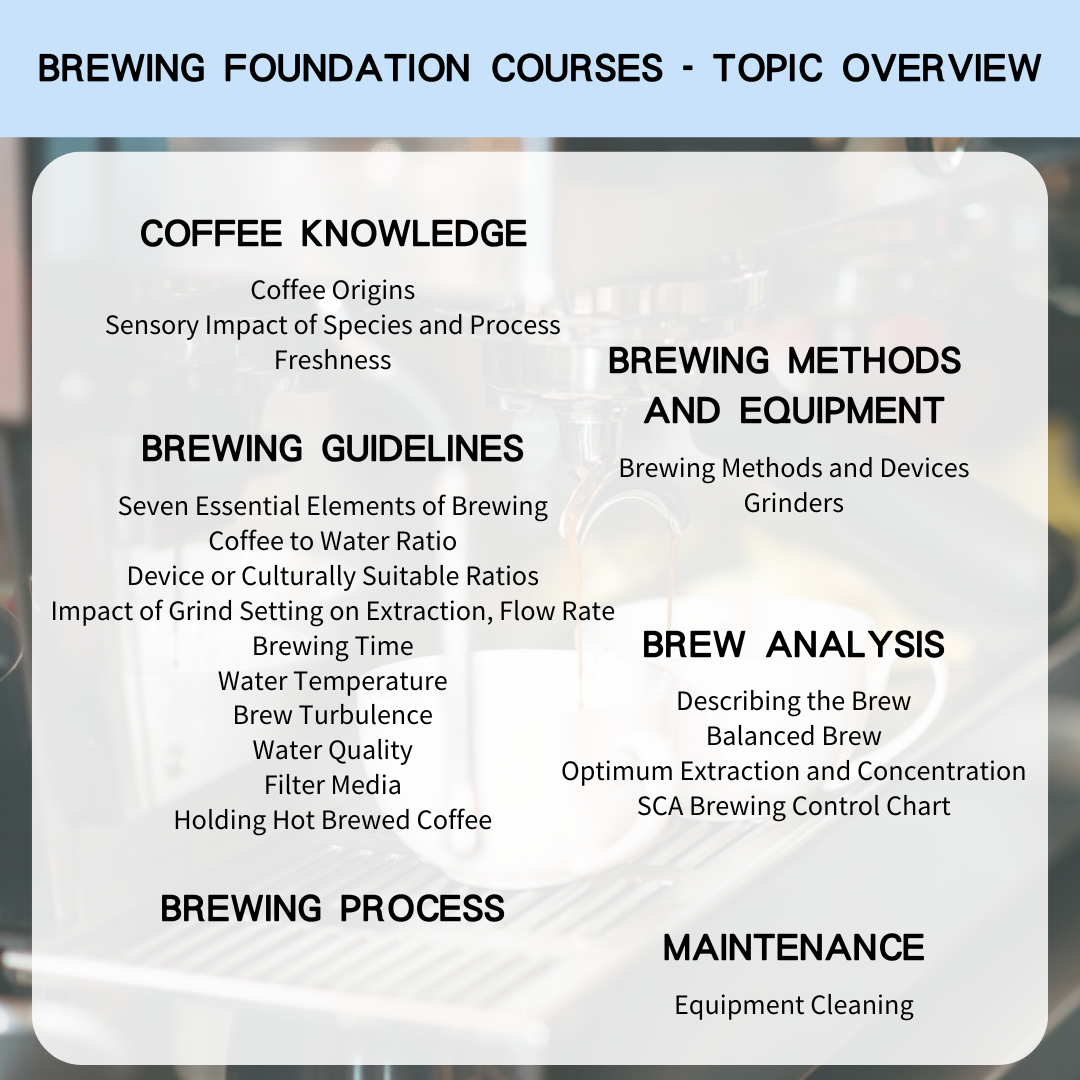 SCA Brewing Foundation Specialty Coffee Association International Cert ...