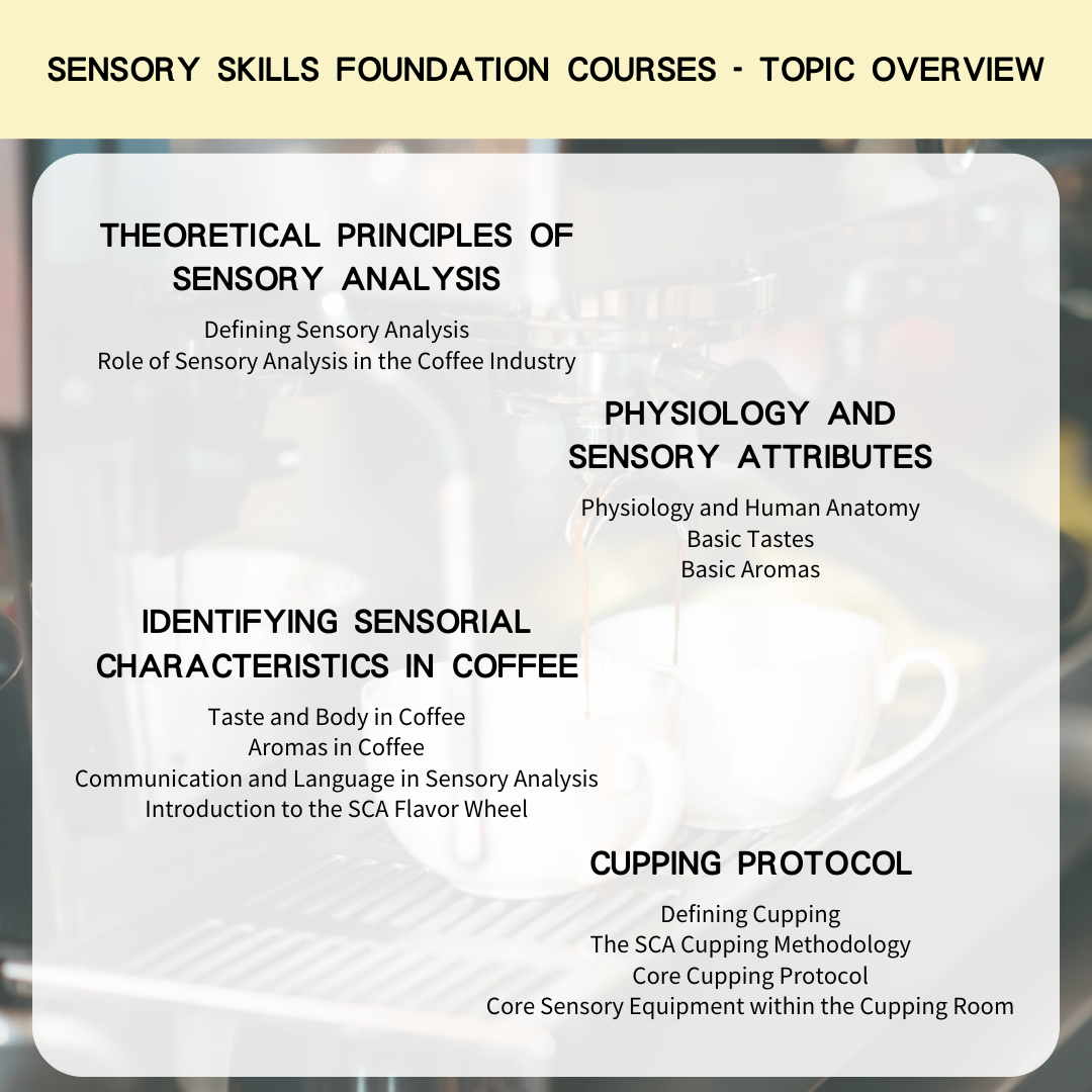 SCA Sensory Skills Foundation 國際咖啡品鑑訓練基礎証書課程 – 緣月咖啡